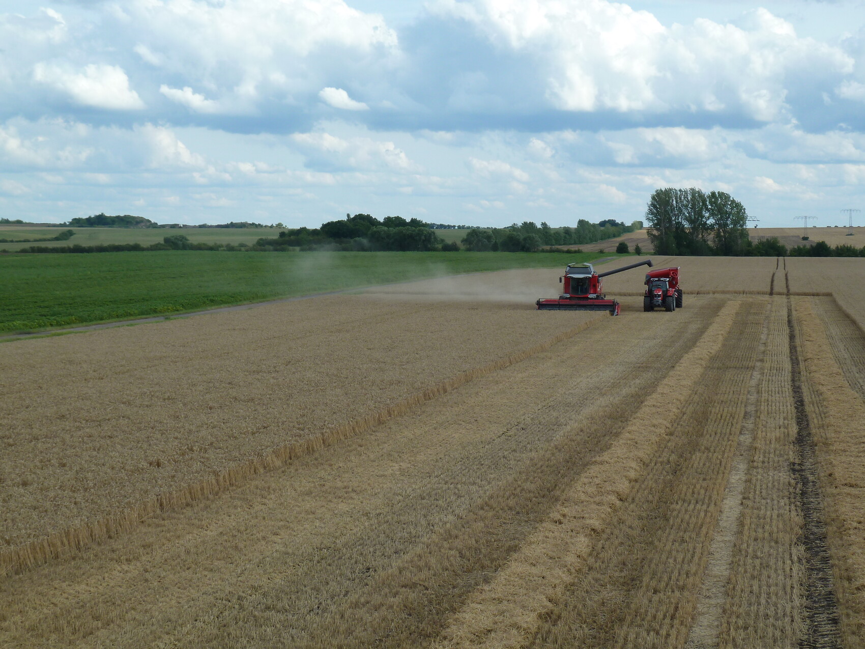 Nachbauerklärung einreichen :: BWagrar - - BWagrar